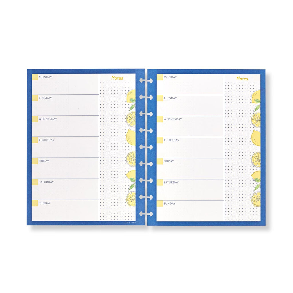 Circa Lemonade Weekly/Monthly Undated Agenda Refill (40 sheets)