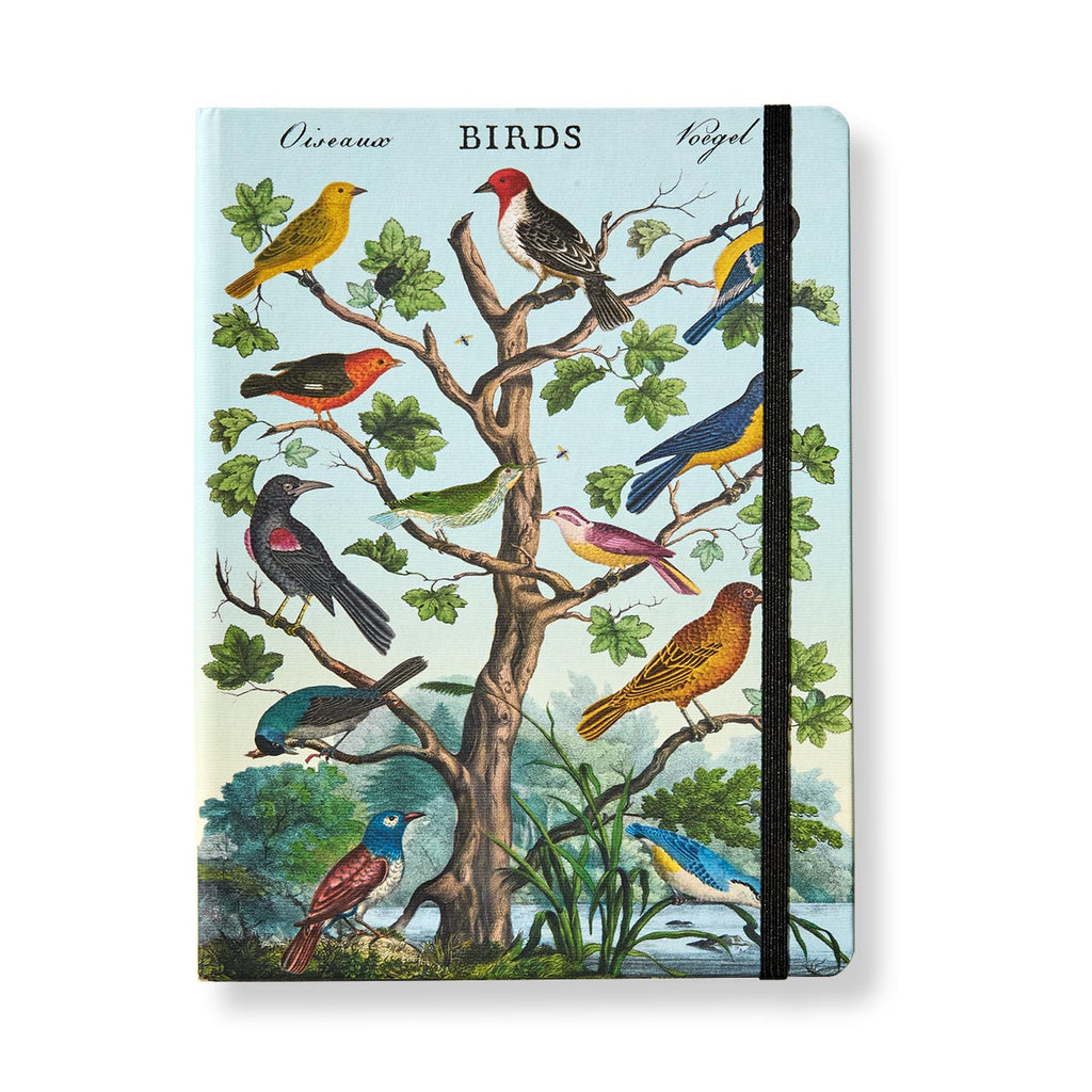 Birds Notebook (Large)