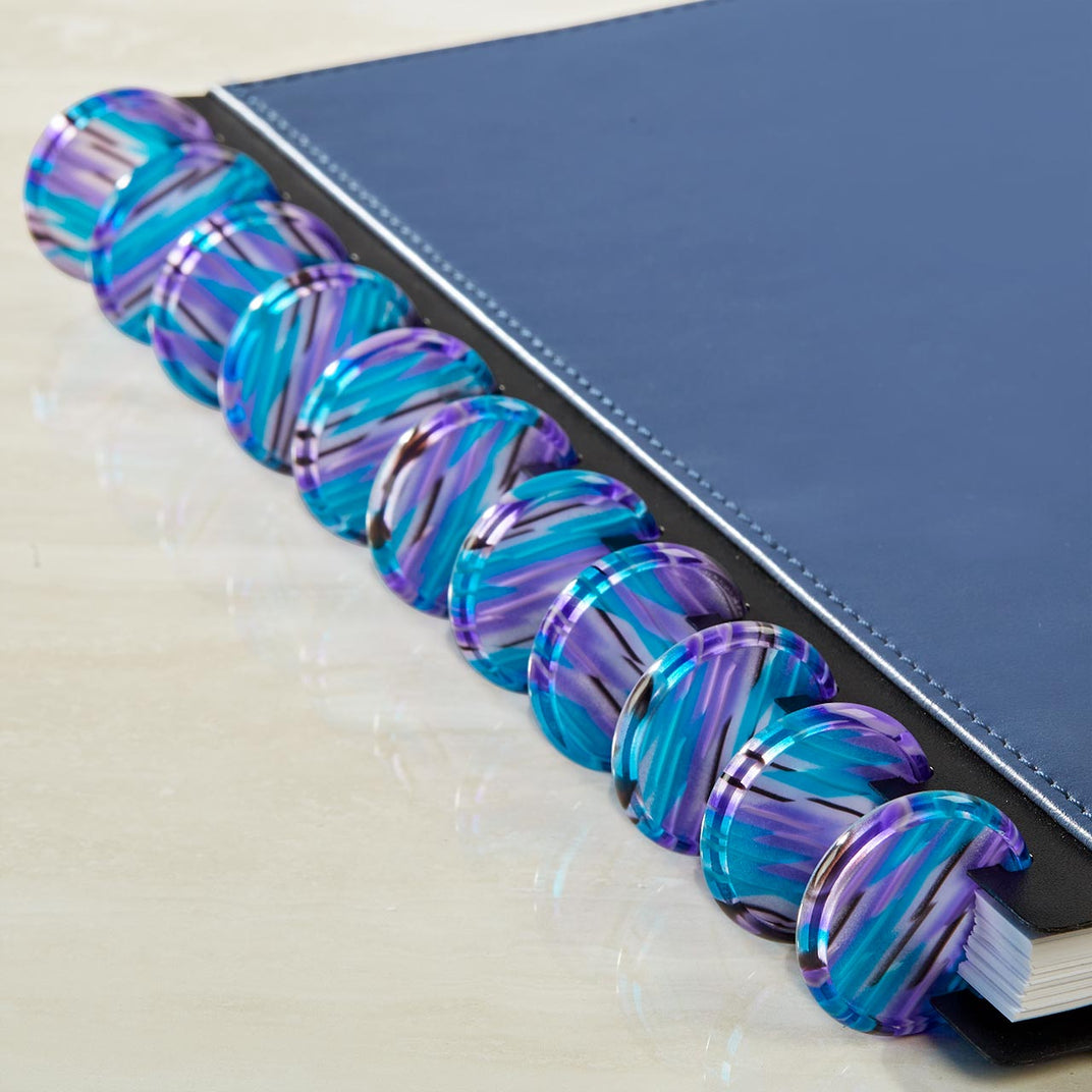 Andromeda Circa Notebook Discs (set of 11)